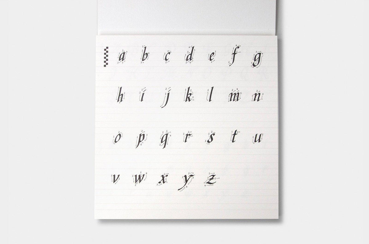 Calligraphy Practice Book - With Brush Lettering Practice Sheets ...