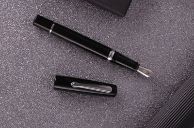 Narwhal Demonstrator Fountain Pen + Leather Pen Sleeve | Galen Leather